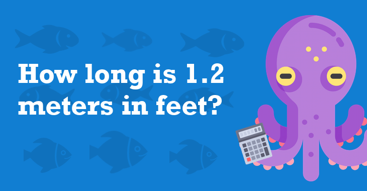 1.2 meters in feet (1.2 m to ft)