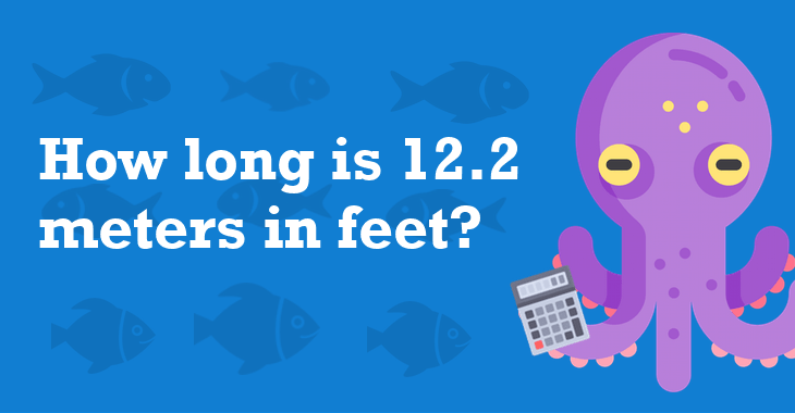 12.2 meters in feet (12.2 m to ft)