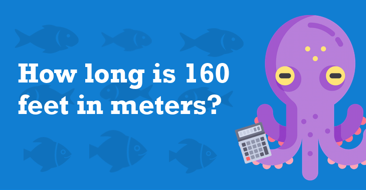 160 feet in meters (160 ft to m)
