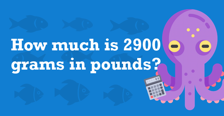 2900 grams in pounds (2900 g to lb)