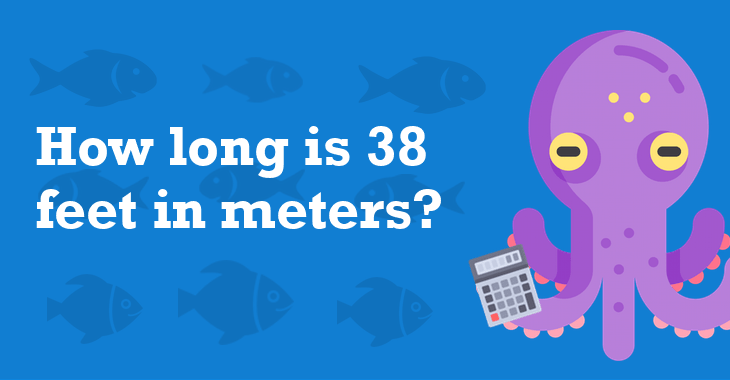 38 feet in meters (38 ft to m)
