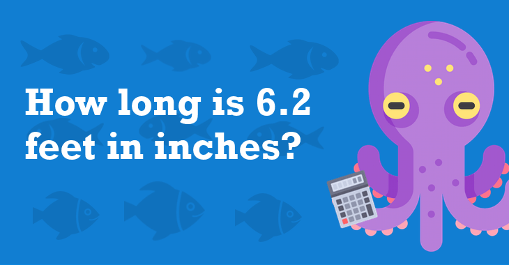 6.2 feet in inches (6.2 ft to in)